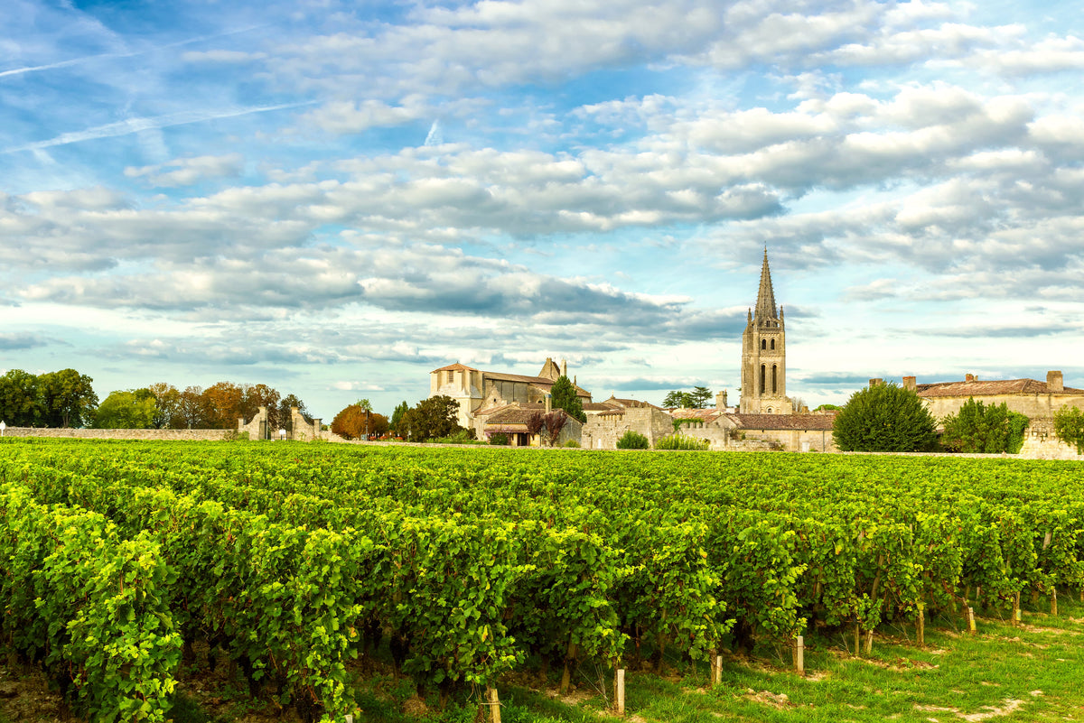 Bordeaux Has Spoken: The Rise of Marselan in the Wine World – Eden Grapes